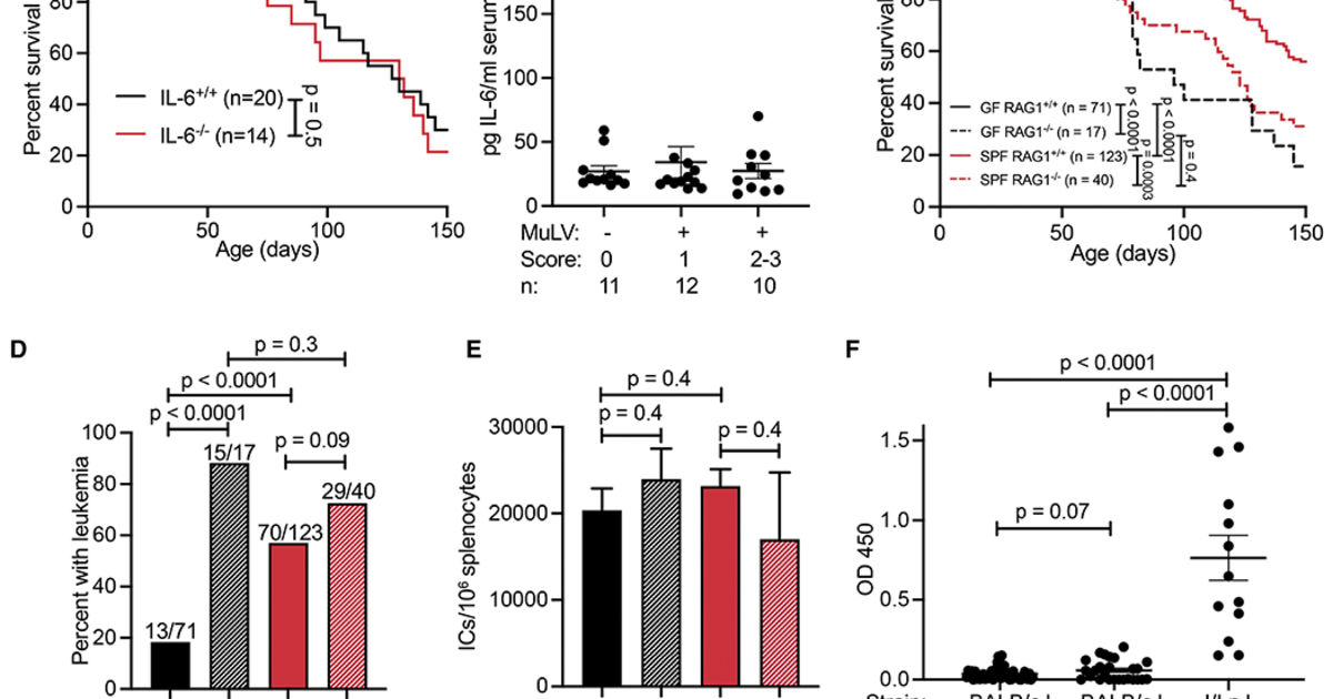 Jessica Spring Wins Best Microbiology Dissertation for 2022-2023 ...
